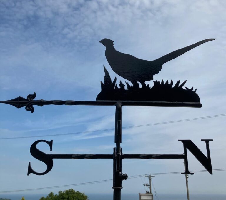 Pheasant With Tail Up Weathervane - Chris Clarke Weathervanes Online UK